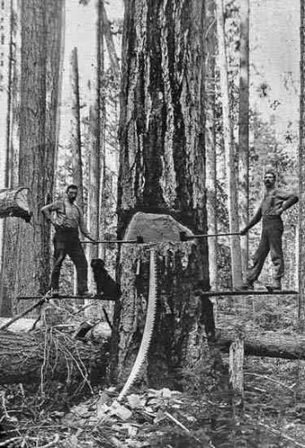 The Evolution of the Axe - Farm Collector